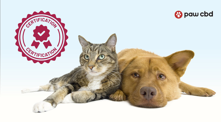 What Is a COA Certification? Why It Matters When You Buy CBD for Pets ...