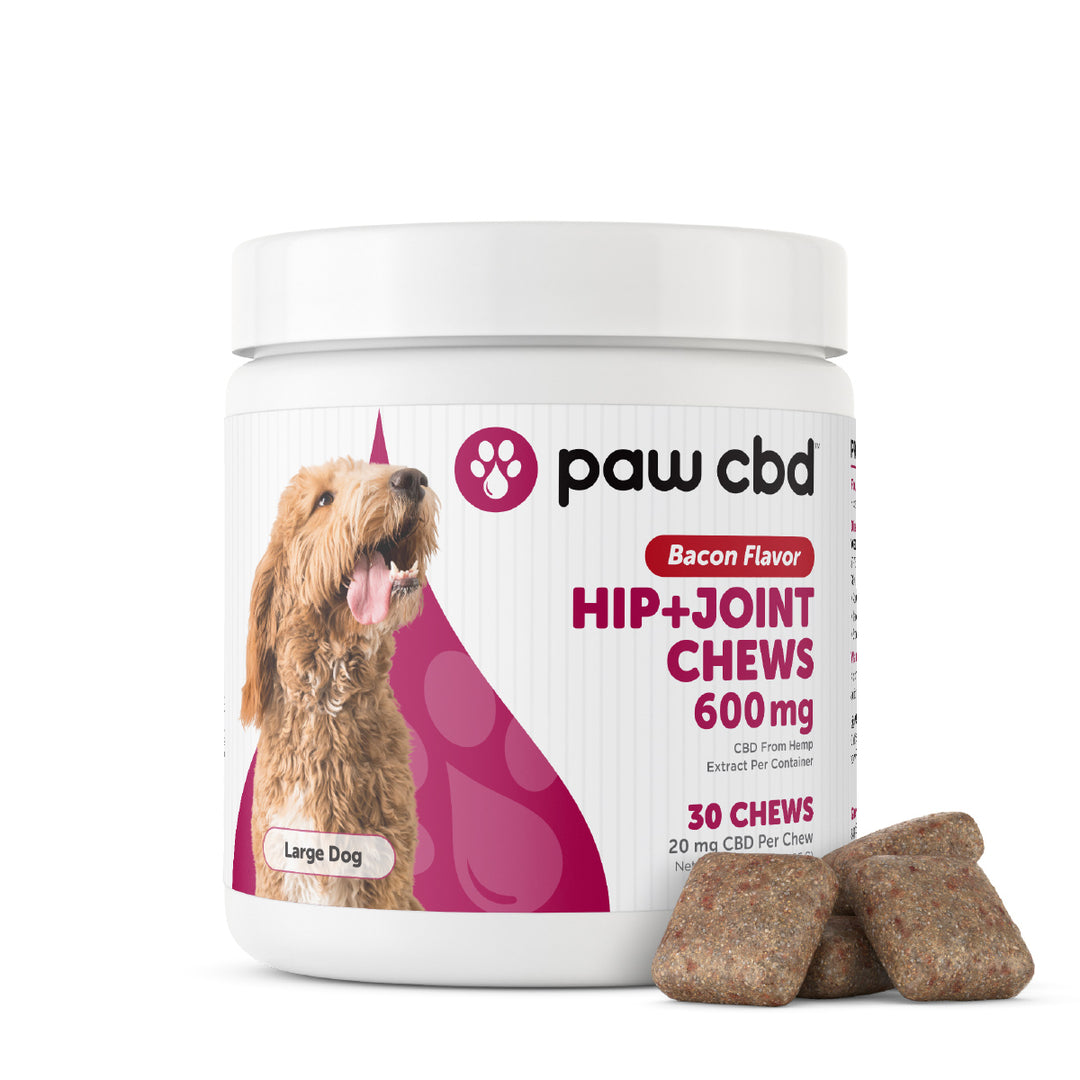 Pet CBD Oil - CBD Oil Products for Pets | Paw CBD