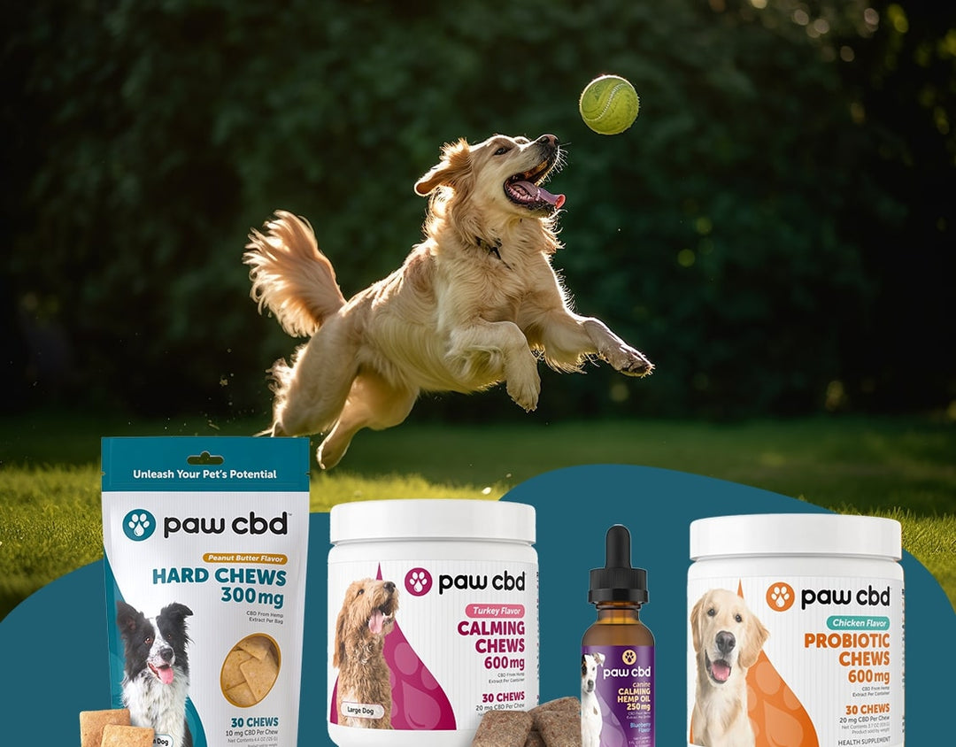 Pet CBD Oil - CBD Oil Products for Pets | Paw CBD