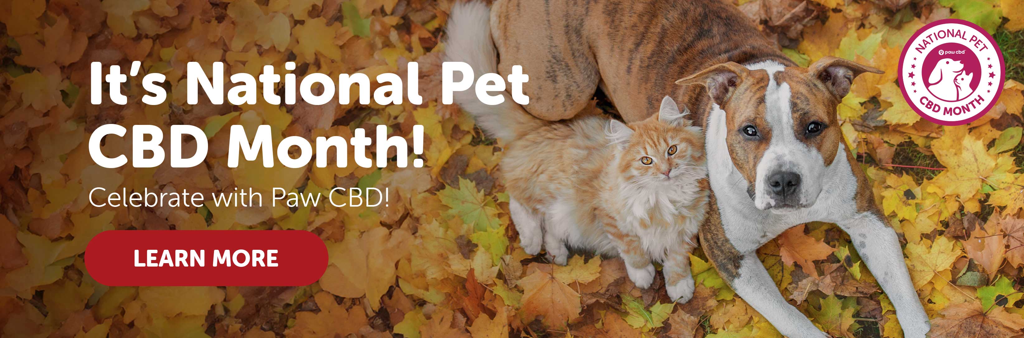 Pet CBD Oil - CBD Oil Products for Pets | Paw CBD