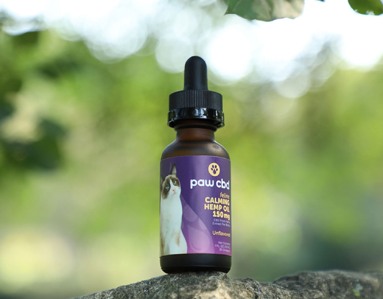 CBD Calming Oil Tincture for Cats