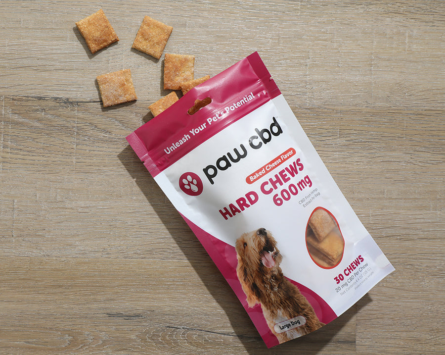 CBD Dog Chews – Hard Chews for Natural Stress Relief