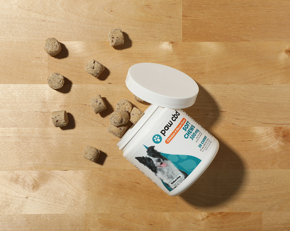 CBD Soft Chews for Dogs | paw cbd