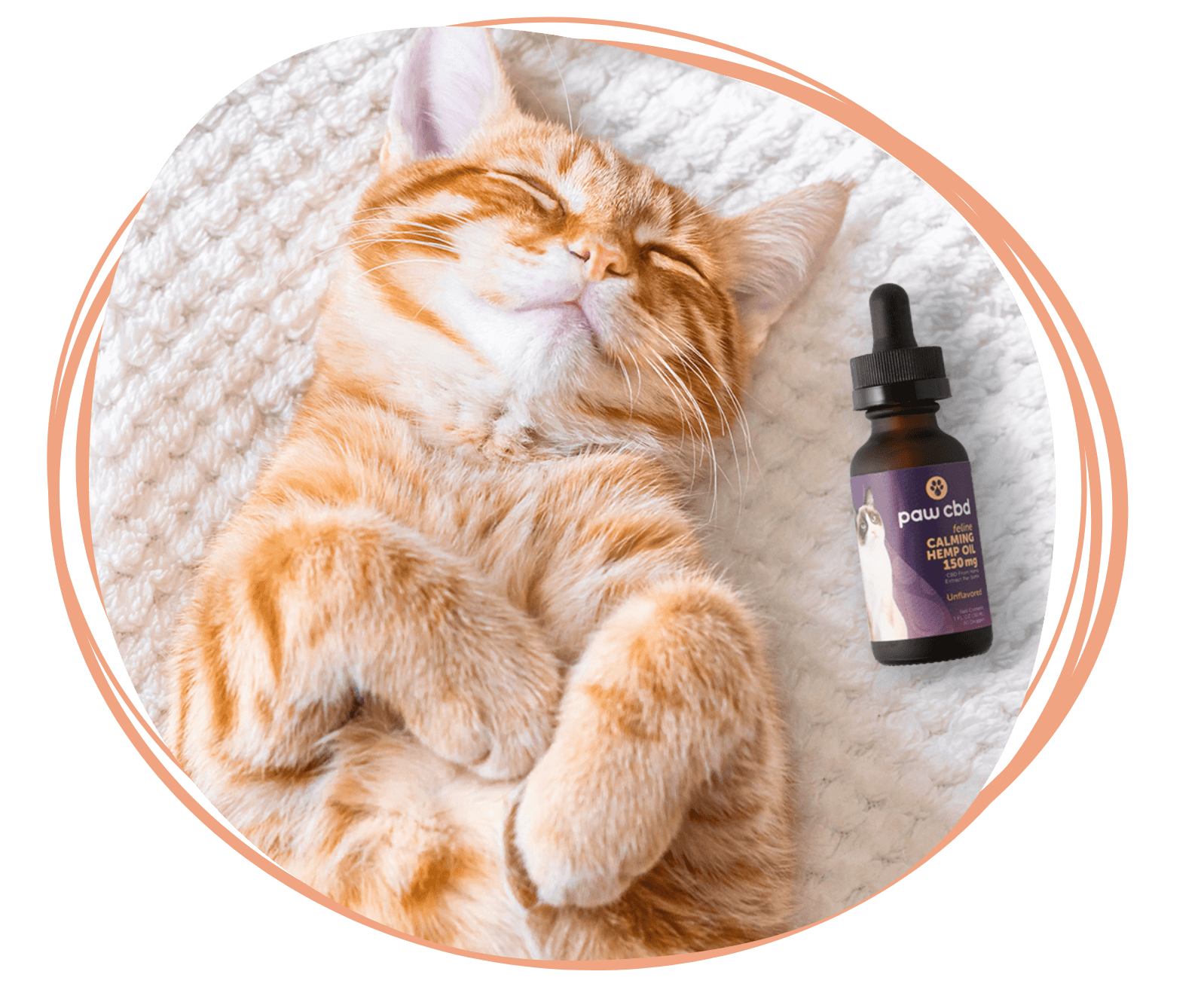 CBD Calming Products For Dogs And Cats