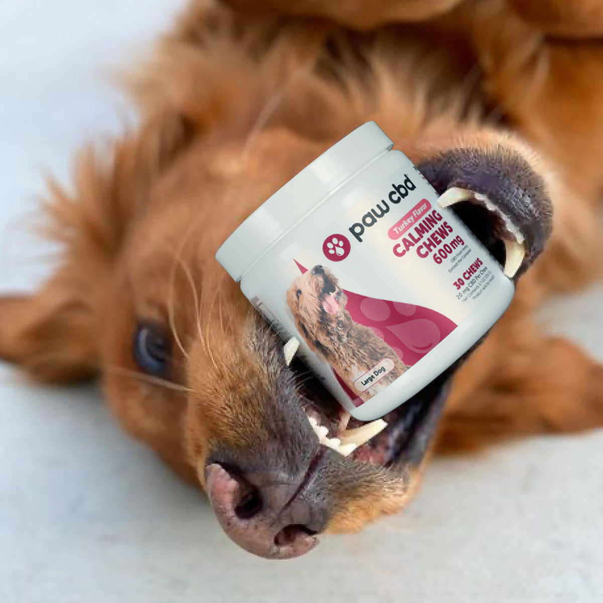Pet CBD Calming Soft Chews for Dogs